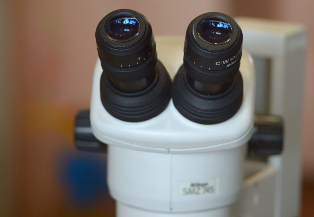 mbs-1 — Просветленные точные вещи